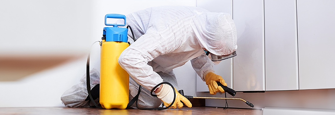 How to Clean Your Portable Storage Container - Step by Step Guide